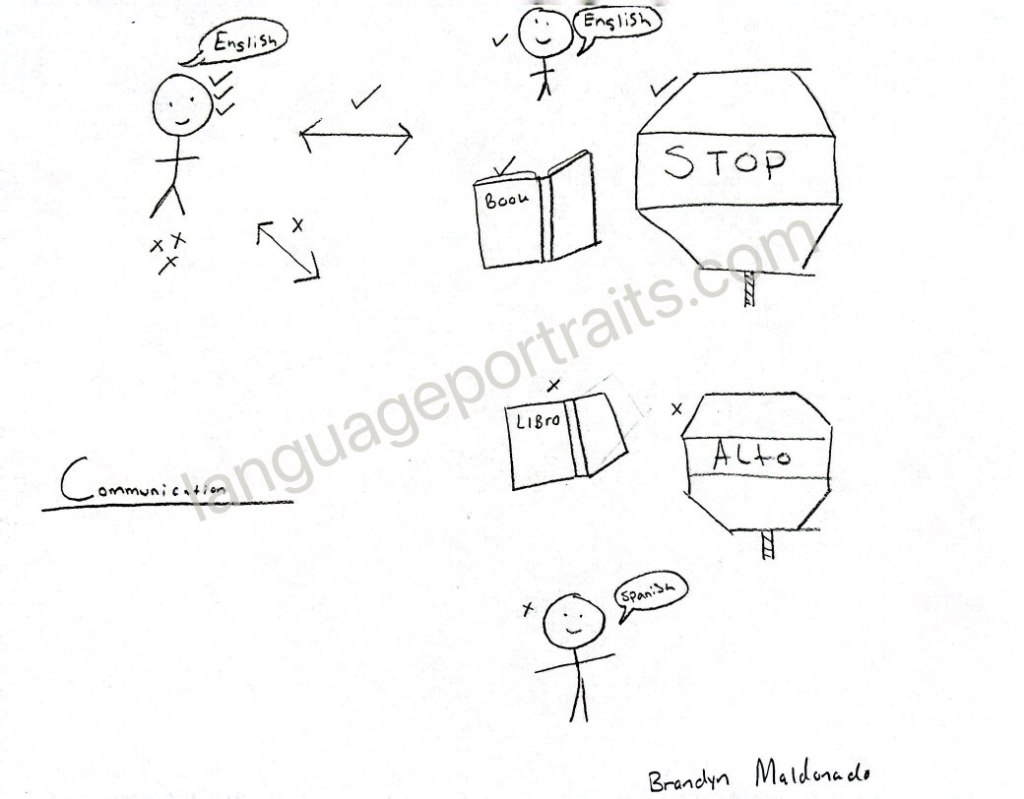 Language Portraits as Bilinguals